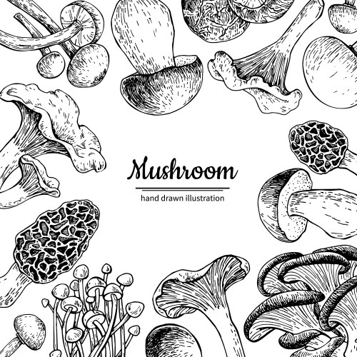 Collection hand drawn fresh lemon tree Royalty Free Vector