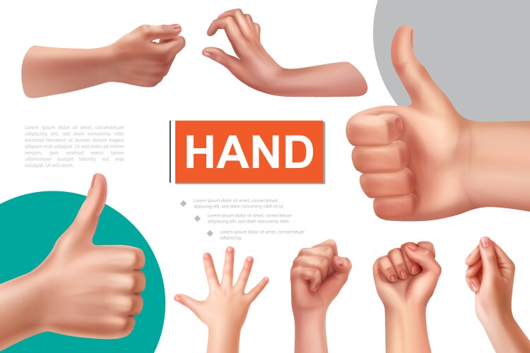 Realistic hand gestures composition Royalty Free Vector