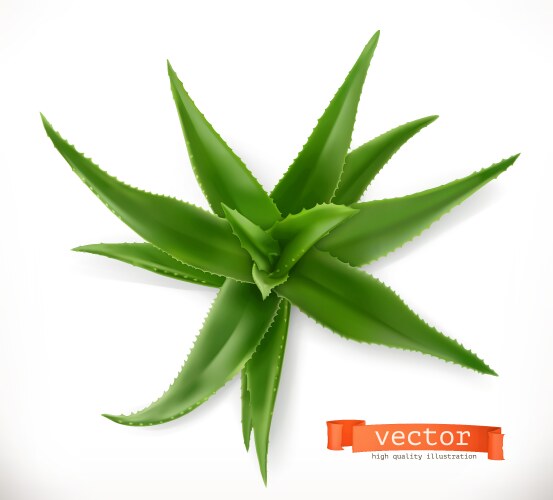 Aloe Vera Vector Images (over 7,400)