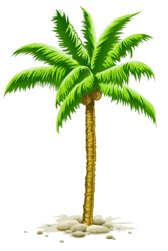 Coconut Tree Vector Images (over 36,000)