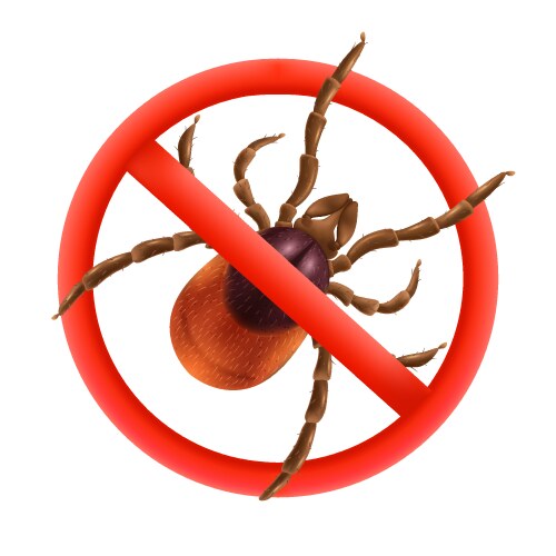 Dust Mite Vector Images (over 1,000)