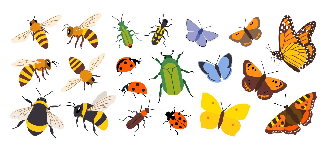 Insect Vector Images (over 240,000)