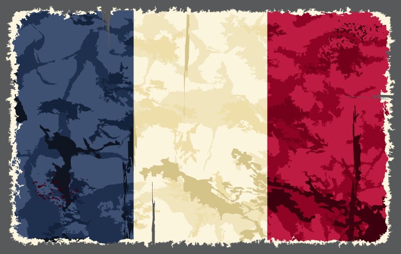 French grunge flag Royalty Free Vector Image - VectorStock