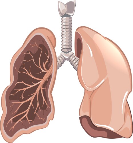 Cancer Cartoon Vector Images (over 13,000)