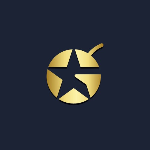 Star round business gold logo Royalty Free Vector Image