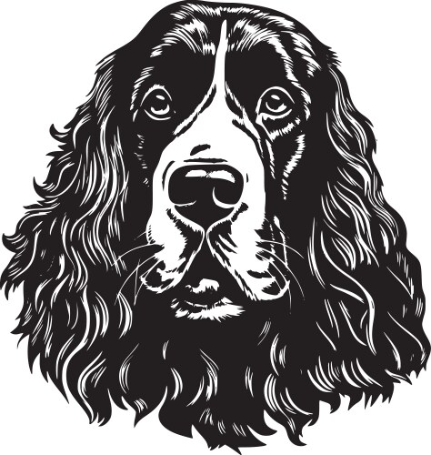 Cocker Spaniel Vector Images (over 1,000)