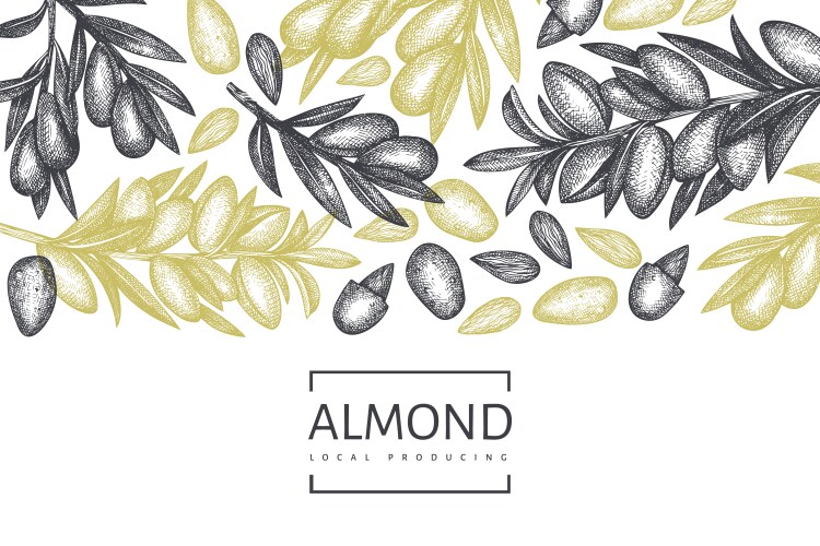 Almond tree design template branch hand Royalty Free Vector