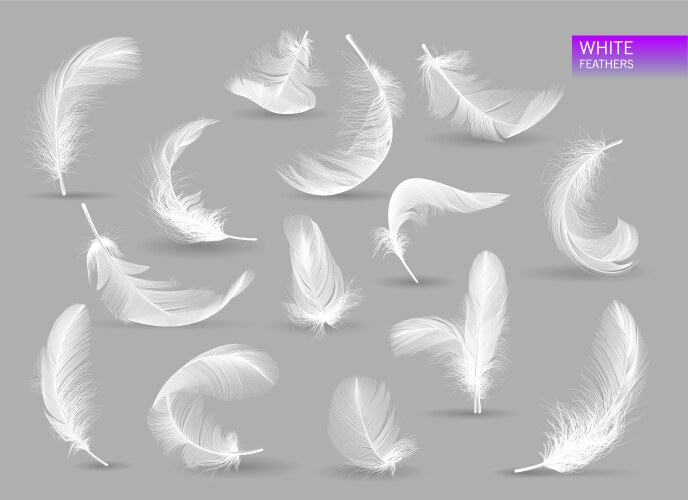 Feather Falling Icon Vector Images (over 1,600)