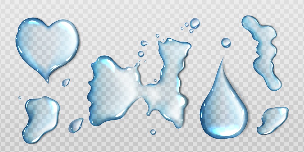 Realistic transparent water puddle isolated Vector Image