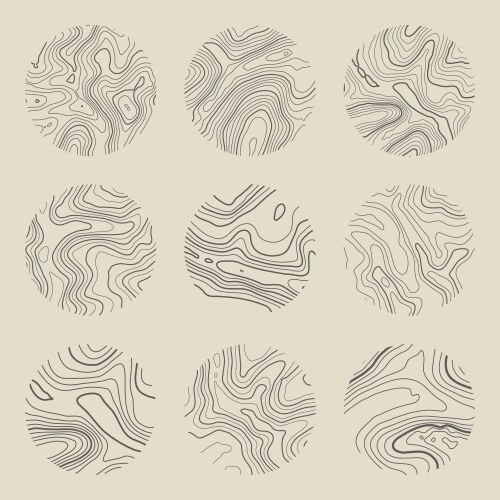 Topographic Map With Contour Lines Geographic Vector Image