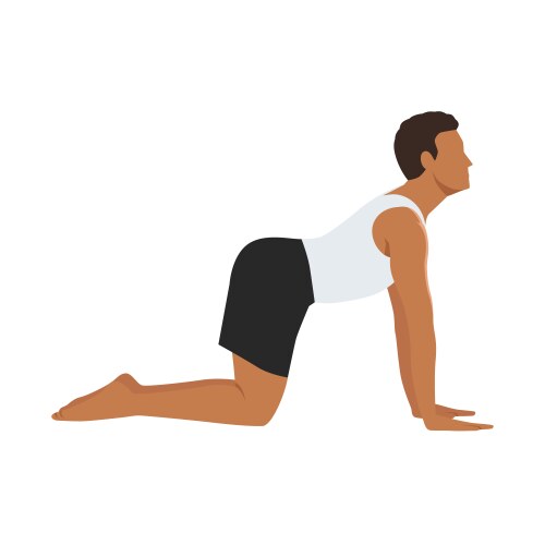 Cow Pose Vector Images (over 1,200)