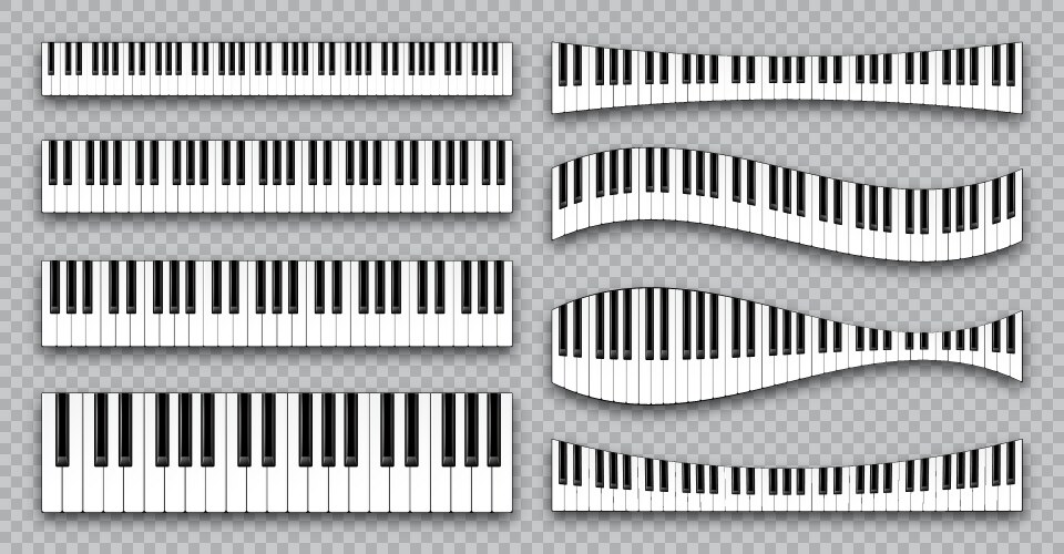 Realistic piano keys collection musical Royalty Free Vector