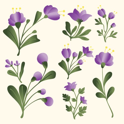 Leaf with swash ornamental collection Royalty Free Vector