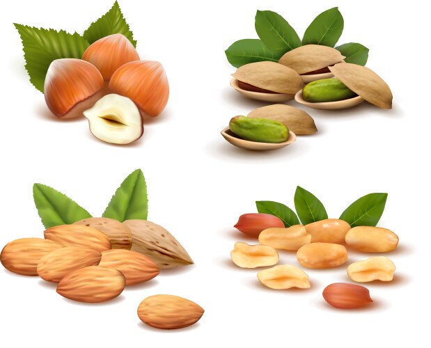 Nuts set Royalty Free Vector Image - VectorStock