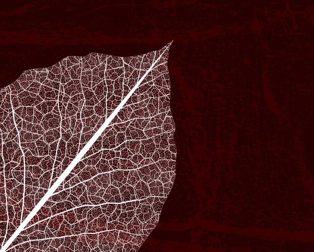 Free Leaf Vector Images (over 73,000)