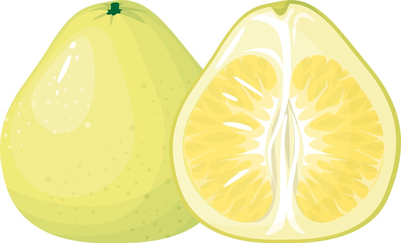 Pomelo Fruit Cartoon Vector Images (over 430)