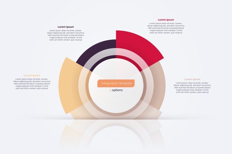 Pie chart infographic template 4 options Vector Image
