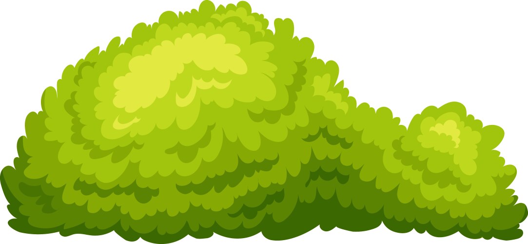 Nature hedge garden green bushes cartoon shrub Vector Image