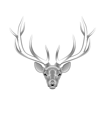Elk Outline Vector Images (over 4,000)