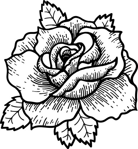 Art Rose Blackwork Vector Images Graphics For Commercial Use