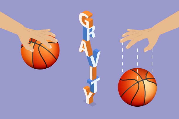 Showing gravity force example with a skydriver Vector Image