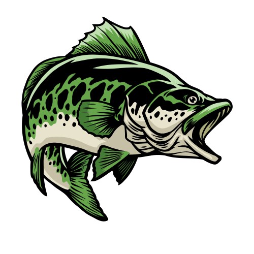 Bass Vector Images (over 85,000)