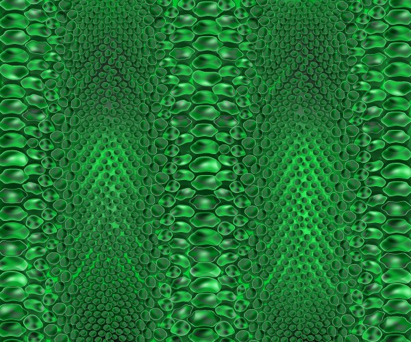 Snake Skin Vector Images (over 7,100)