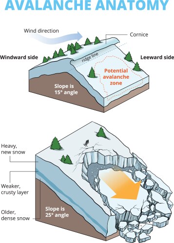 Snow Avalanche Vector Images (over 1,500)