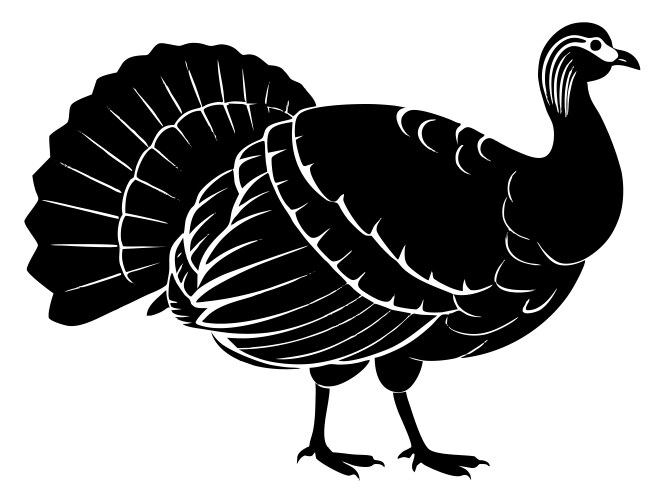 Wild Turkey Vector Images (over 1,700)