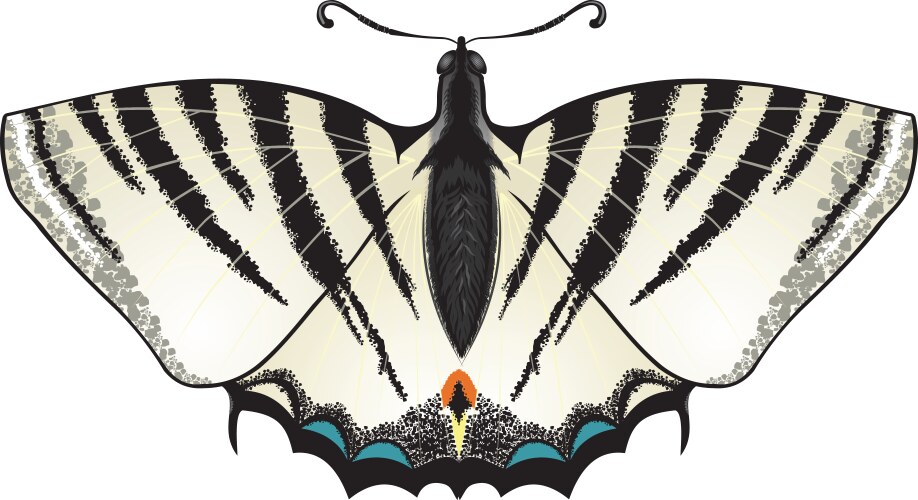 Butterfly Vector Images (over 170,000)