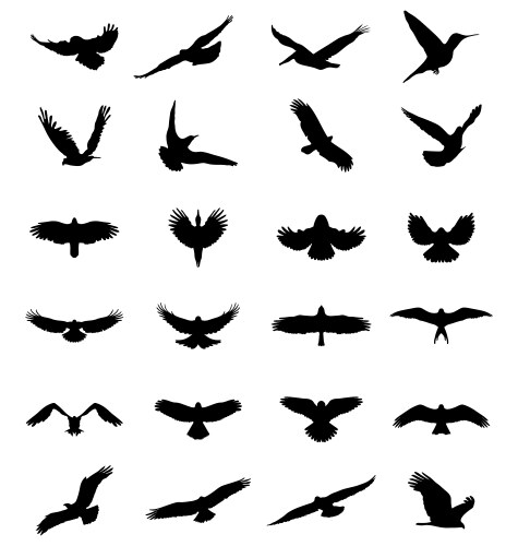 Birds Vector Images (over 550,000)
