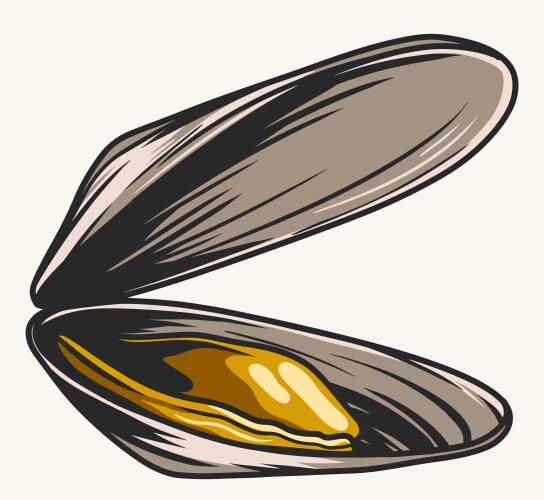 Mussel Vector Images (over 8,400)