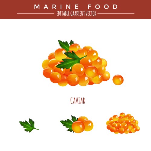 Red salmon caviar delicacy Royalty Free Vector Image