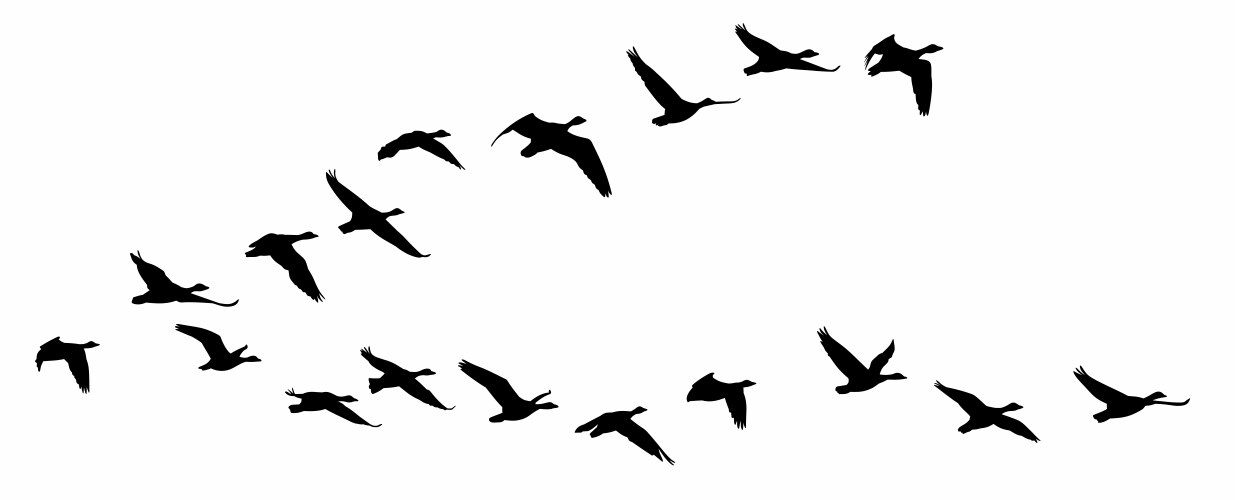 Flight Vector Images (over 340,000)