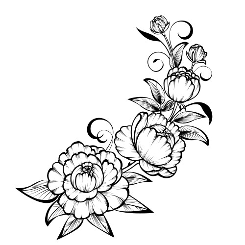 Branch of roses Royalty Free Vector Image - VectorStock