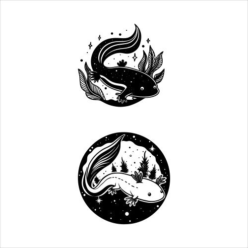 Axolotl cartoon Royalty Free Vector Image - VectorStock