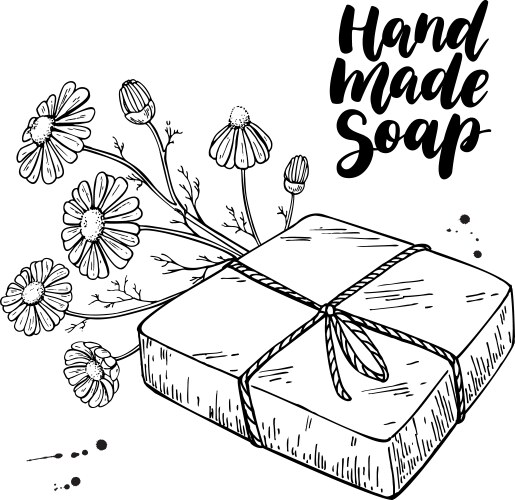 Handmade natural soap hand drawn Royalty Free Vector Image