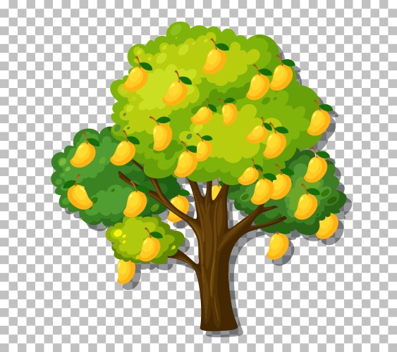 Mango tree on transparent background Royalty Free Vector