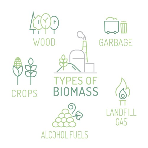 Many forms of biomass energy Royalty Free Vector Image
