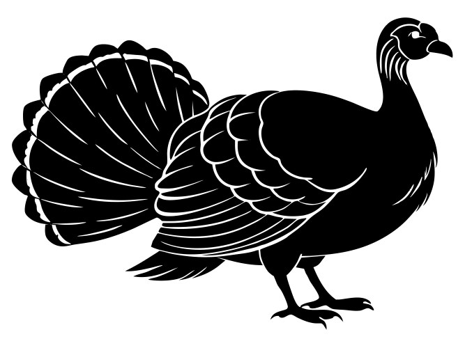 Wild Turkey Vector Images (over 1,700)