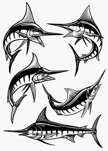 Marlin Black and White Vector Images (over 1,800)