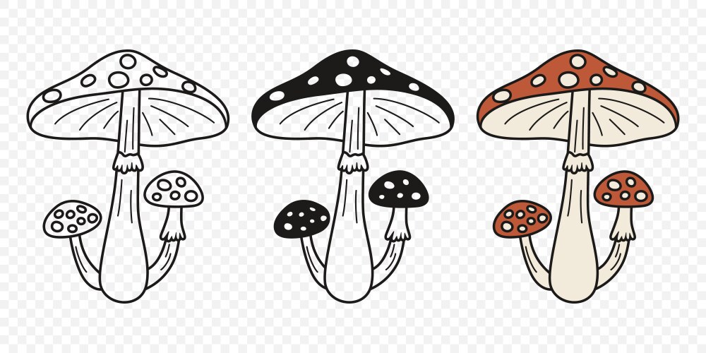 Agar Vector Images (over 10,000)