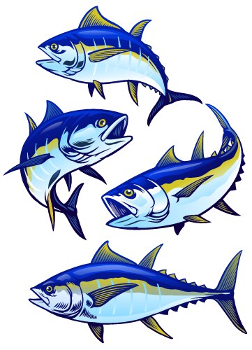 Tuna Vector Images (over 32,000)