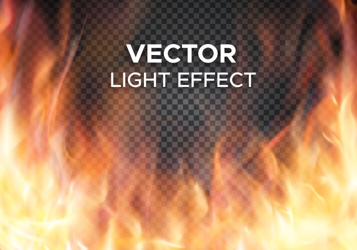 Realistic flames on transparent background fire Vector Image