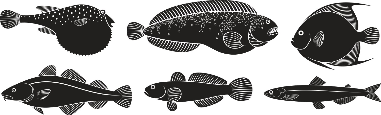 Redtail catfish Royalty Free Vector Image - VectorStock
