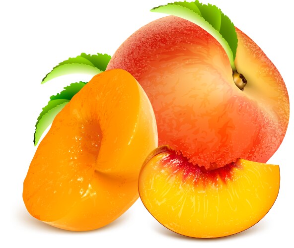 Ripe Vector Images (over 320,000)