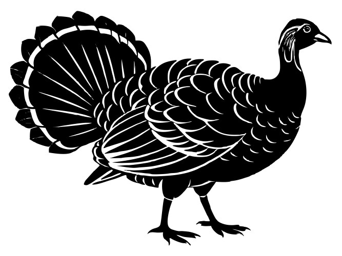 Wild Turkey Vector Images (over 1,700)