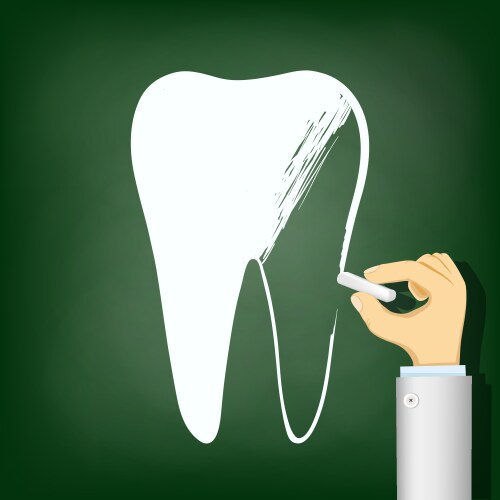 Tooth Drawing Vector Images (over 12,000)