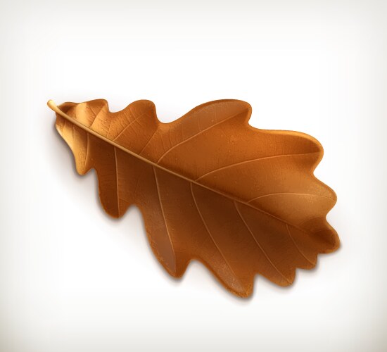 Oak Leaf Vector Images (over 57,000)
