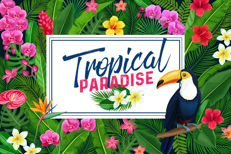 Summer tropical banner Royalty Free Vector Image